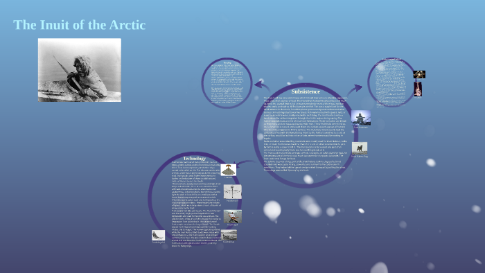 The Inuit of the Arctic by Sasha bowes