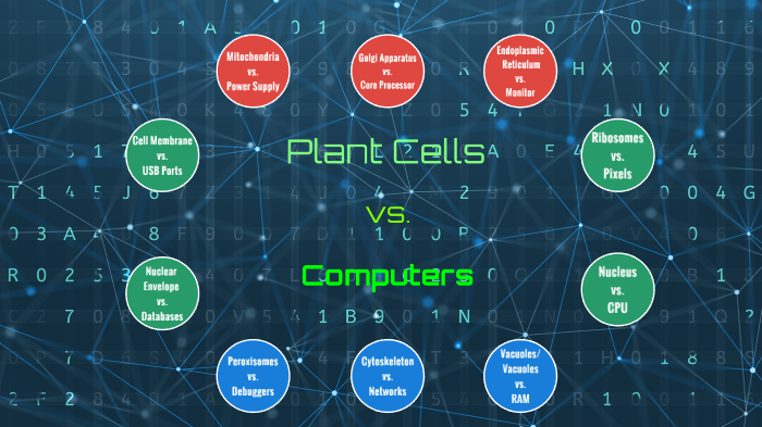 Comparing Plant Cells to Computers by Curtis Harbin on Prezi