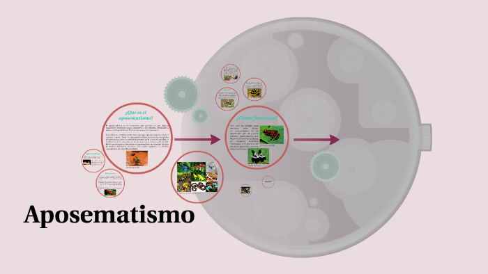 Aposematismo by Lisha Rey on Prezi