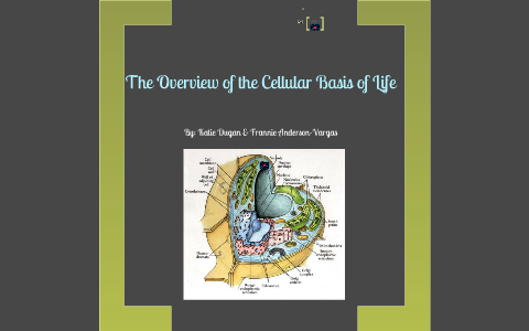 The Overview of The Cellular Basis of Life by katie dugan