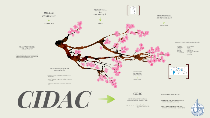 CIDAC by andreia costa on Prezi
