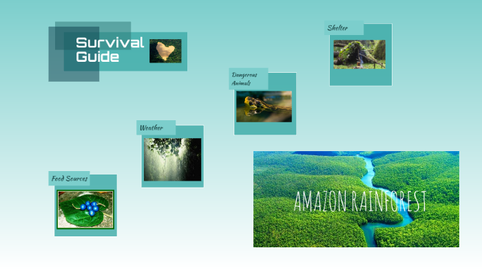 Amazon Rainforest Survival Guide by student 孫庭柔 on Prezi
