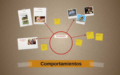 Como se diferencian el comportamiento Innato y aprendido by Johan Neva ...