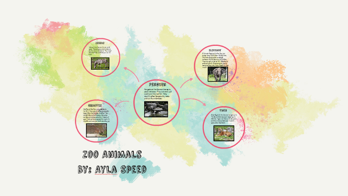 Zoo Animals by Ayla Speed on Prezi