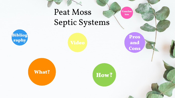 Peat Moss Septic Systems by Amy C on Prezi