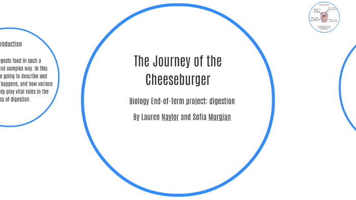 The Journey of the Cheeseburger by Lauren Speakman