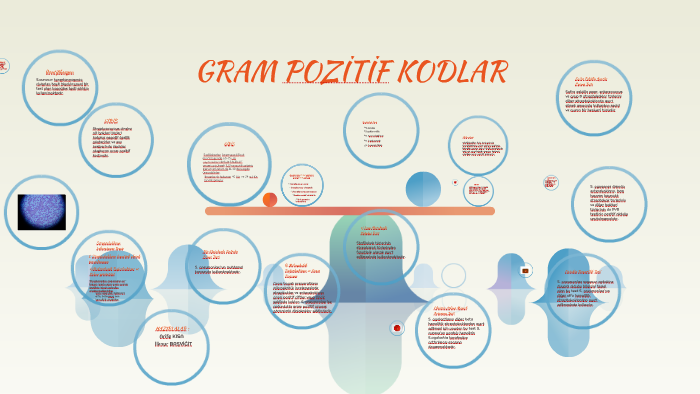 GRAM POZİTİF KODLAR by ilknur Başyiyit on Prezi