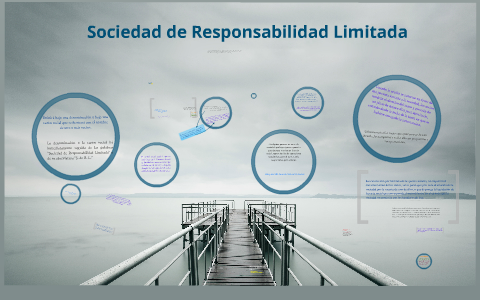 Sociedad de Responsabilidad Limitada by Monica Rodríguez on Prezi