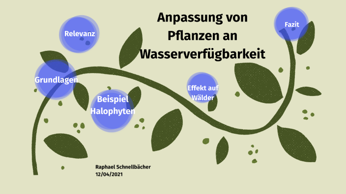Schone Wasserbedarf Baume Tabelle Bild