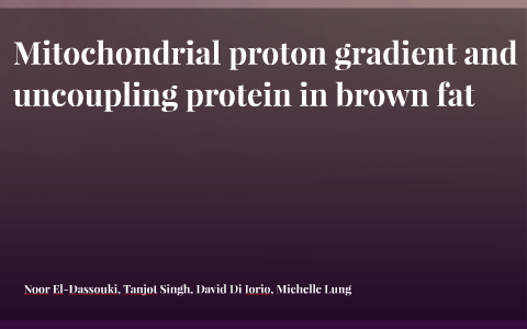 Mitochondrial proton gradient and uncoupling protein in brow by Tanjot ...
