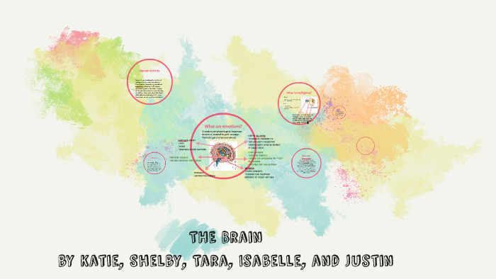 THE Brain by Katie Rathjen on Prezi