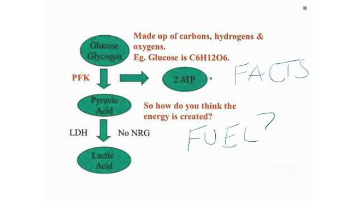 Lactic Acid Energy System by Paul McIntosh on Prezi