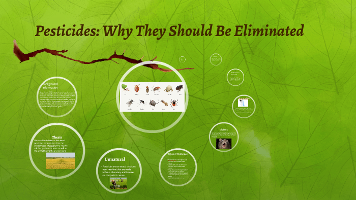 The Obligation to Endure by Rachel Carson by Michelle Tran on Prezi