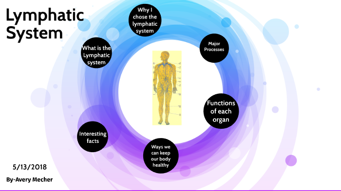 Lymphatic system project by Avery Mecher on Prezi