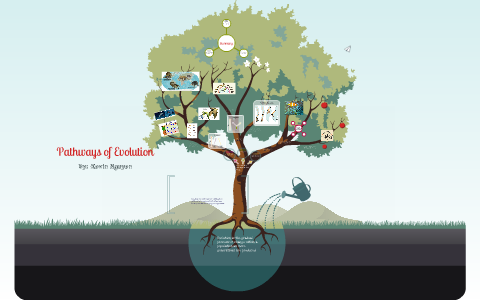 Pathways of Evolution by Kevin Nguyen on Prezi