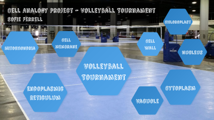 Cell Analogy Project - Volleyball Tournament by Sofie Ferrell on Prezi