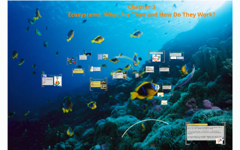 Chapter 3_Ecosystems: What Are They and How Do They Work? by Mrs. Bowen