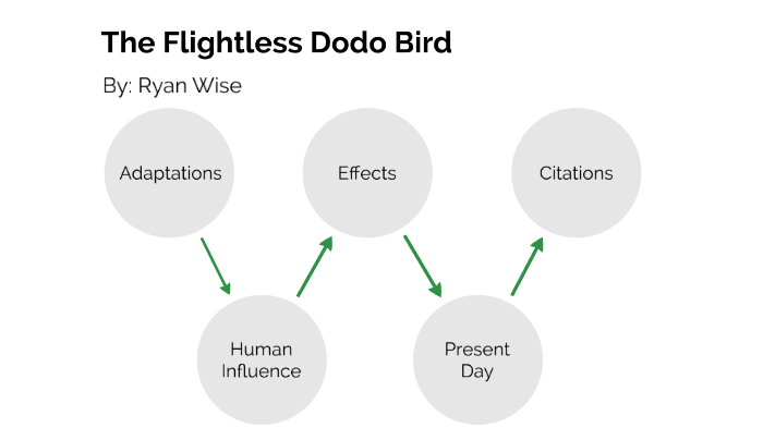 The Flightless Dodo bird by Ryan Wise on Prezi
