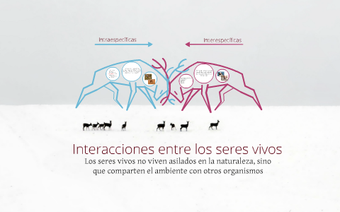 interacciones entre los seres vivos by constanza olivares on Prezi
