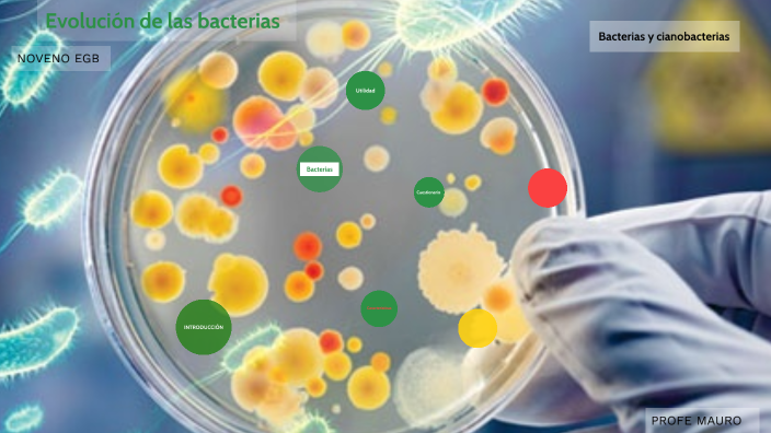 Evolución de las bacterias by Mauro Monta on Prezi