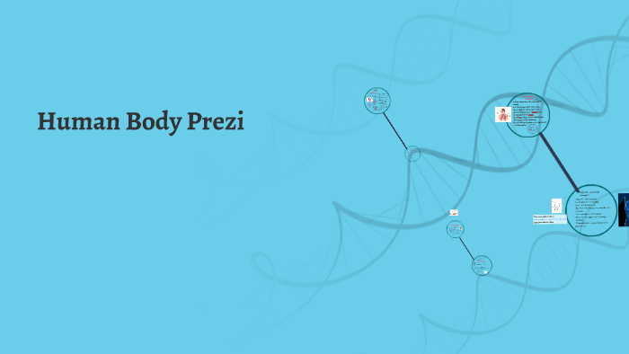 Human body powerpoint by Brandon Luansing on Prezi