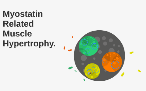 Myostatin Related Muscle Hypertrophy. by Jay Mallory on Prezi