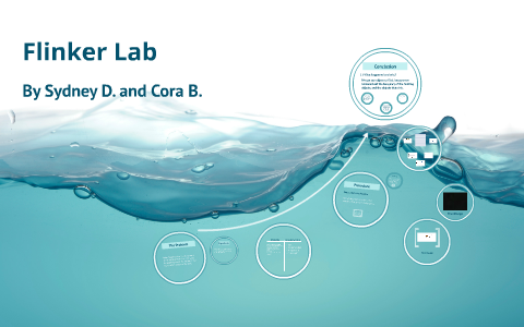 Flinker Lab by Cora Barczak on Prezi