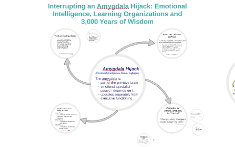 Amygdala Hijack by kim dolan on Prezi