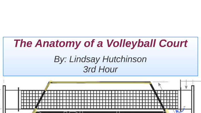 The Anatomy of a Volleyball Court by Lindsay Hutchinson on Prezi