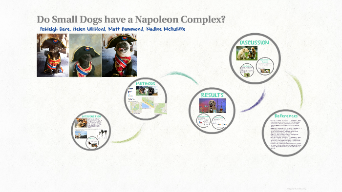 Napoleon Complex in Small Dogs by Nadine McAuliffe on Prezi