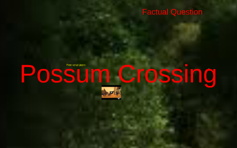 Possum Crossing by Peter Zecchin on Prezi