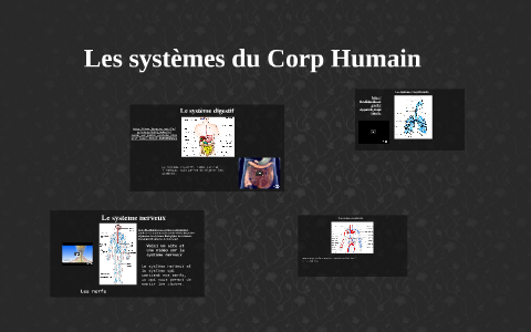 Le systeme digestif by Inass El Kaissy on Prezi