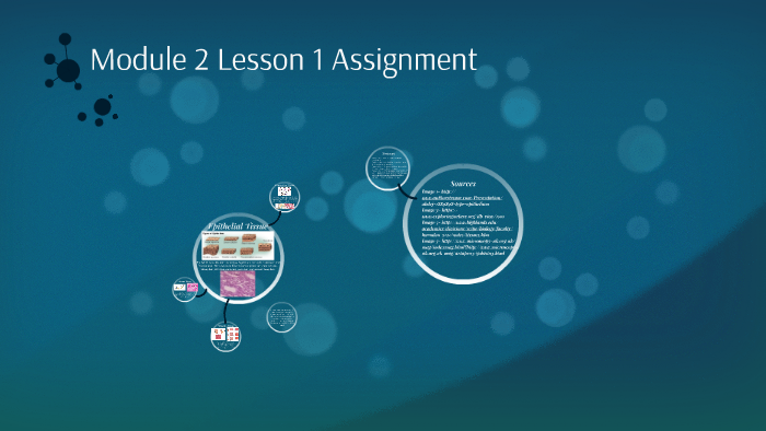 Module 2 Lesson 1 Assignment by Molli Sholar