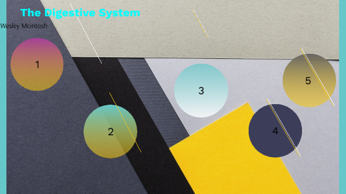 Wesley M by wesley mcintosh on Prezi