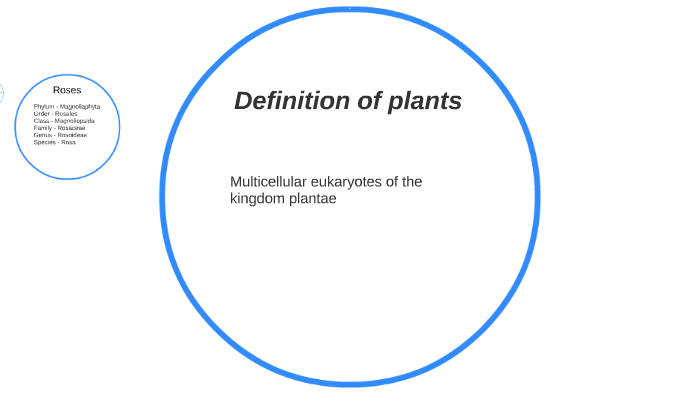 Definition of plants by jairalyce boria on Prezi