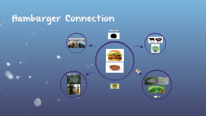 Hamburger Connection by on Prezi