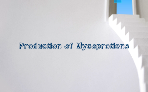 Production of Mycoproteins by Matthew Worby on Prezi