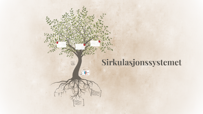 Sirkulasjonssystemet by Lone Forsland on Prezi