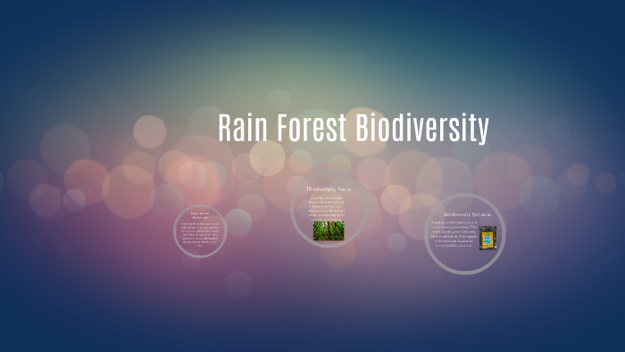 Rain Forest Biodiversity by Landon Wilson on Prezi