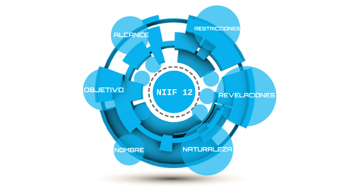 NIIF 12 by Diego Rojas on Prezi