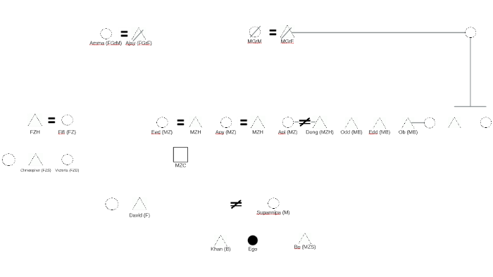 Kinship Diagram by Grace Yau on Prezi