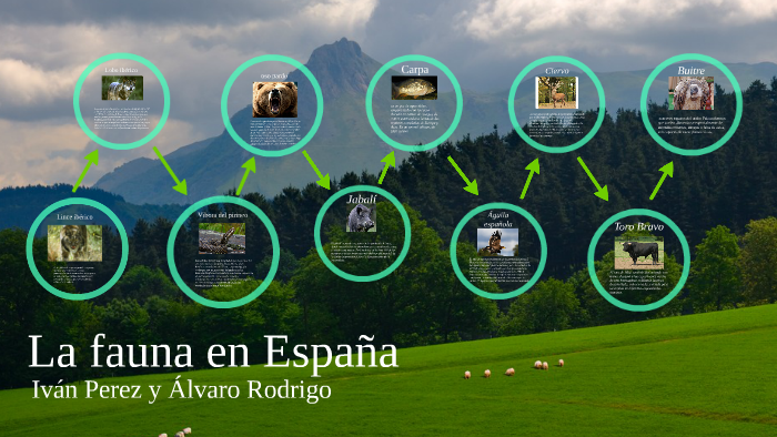 La fauna en España by Alvaro Rodrigo on Prezi