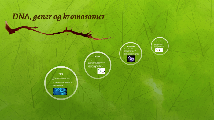 DNA, gener og kromosomer by Josephine Halberg on Prezi