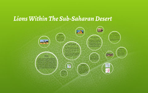 Lions Within The Sub-Saharan Desert by Ravin Jayasuriya on Prezi