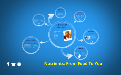 6 Groups of Nutrients by emily rowe