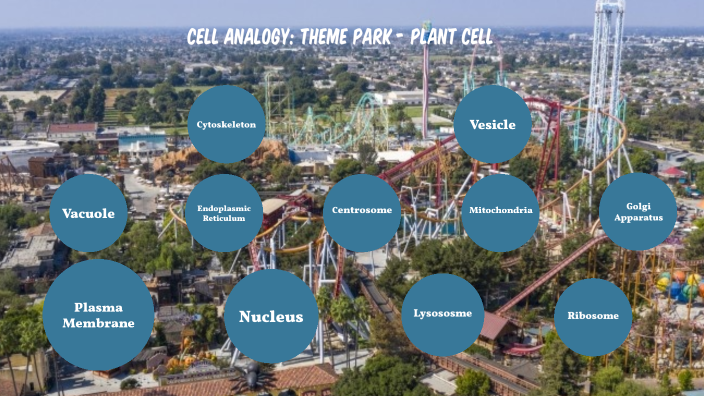 Cell Analogy- Amusement Park by Jack Brown on Prezi