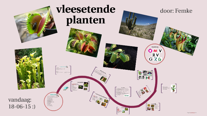 Vleesetende Planten by femke femke