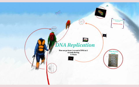 DNA Replication by Nicole Rittenour on Prezi