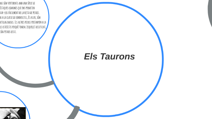 Els Taurons by izan Ramos on Prezi