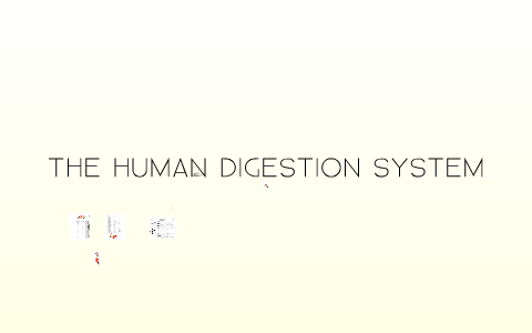 The Human Digestive System Part 2 SBI3U by Nathan Phelan